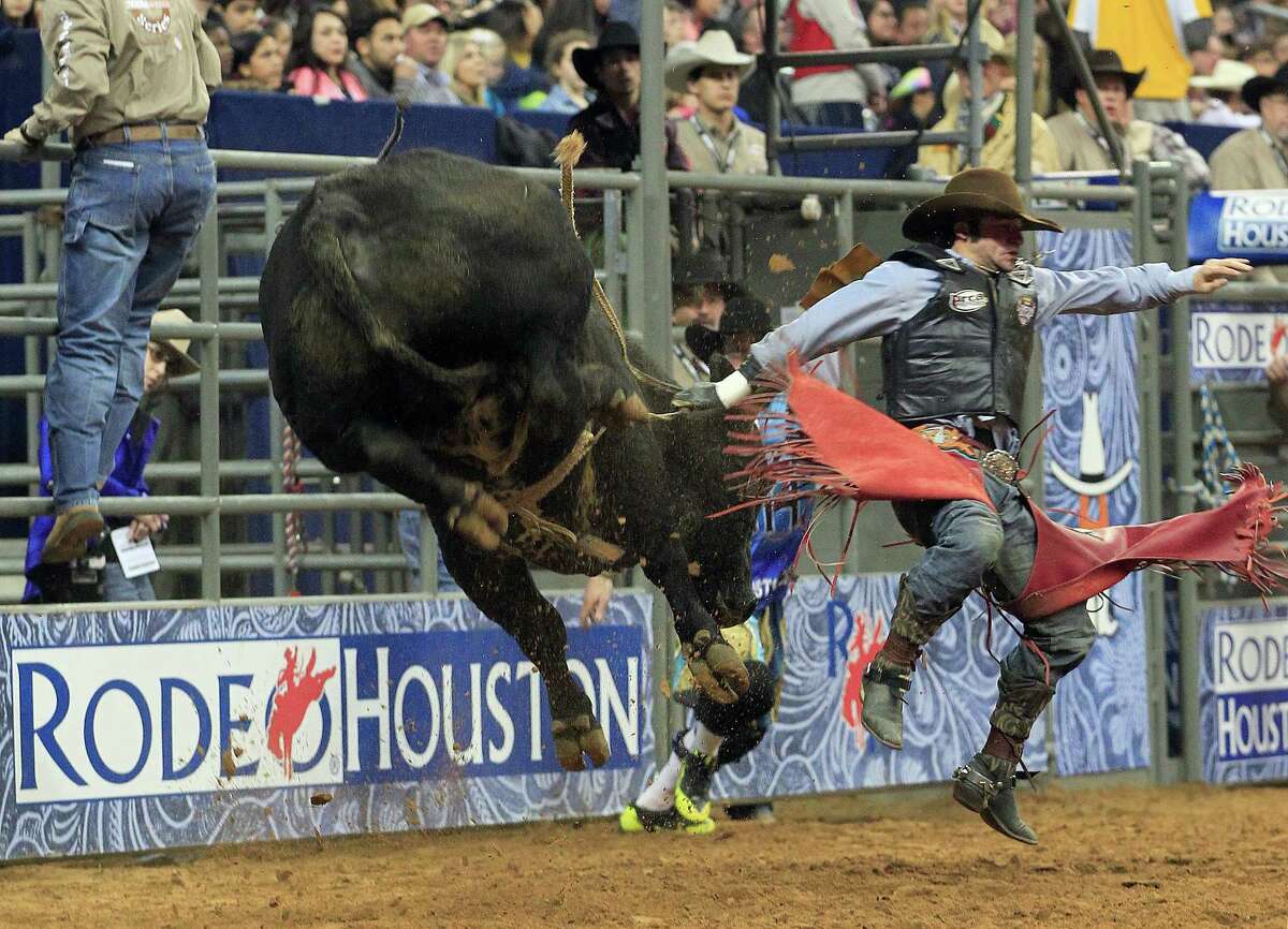 What to holler if you see a loose bull at RodeoHouston