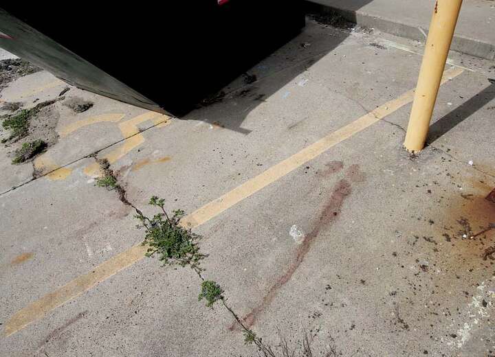 Man convicted in 2014 slaying of grown daughter, her female partner