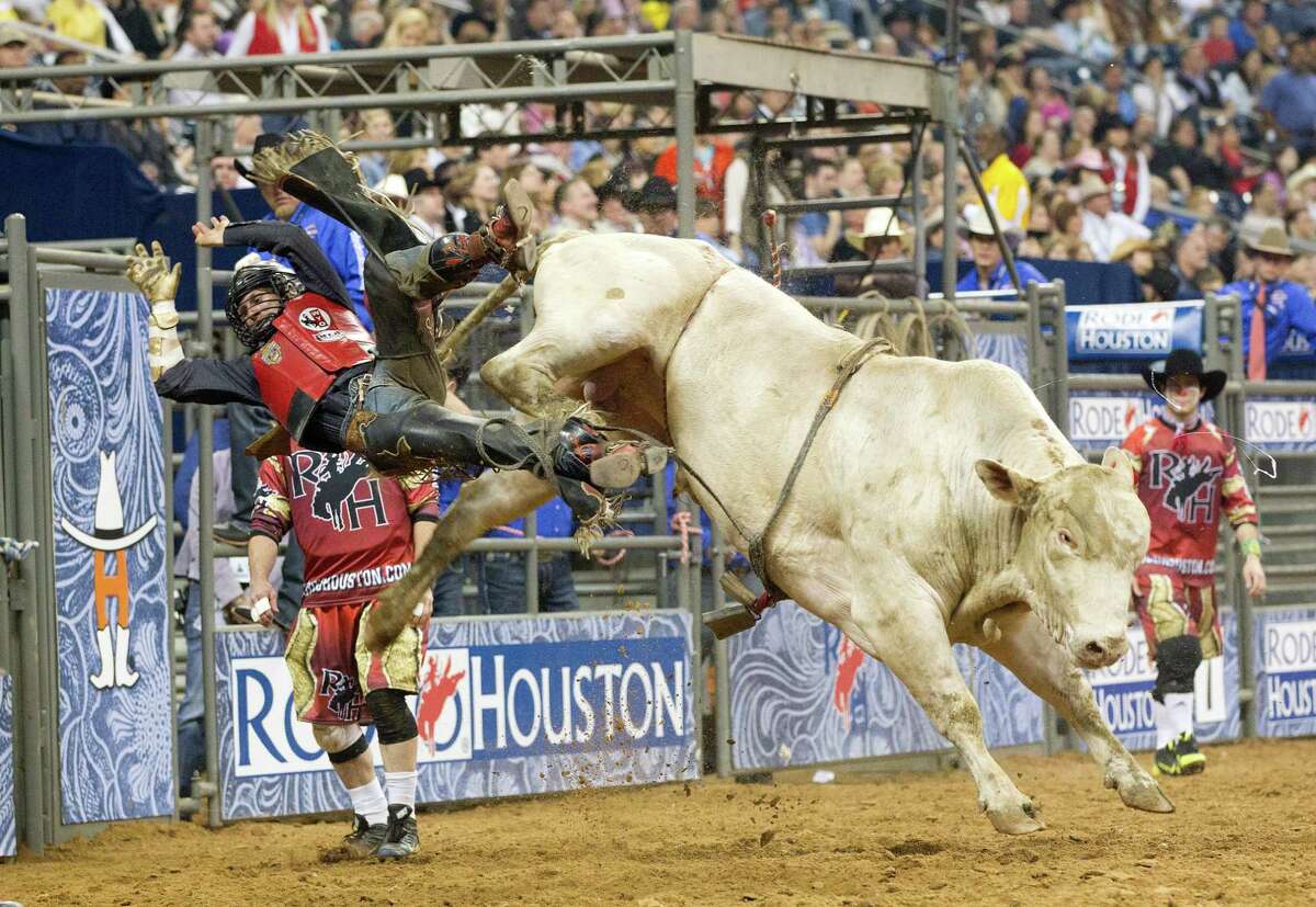 What to holler if you see a loose bull at RodeoHouston