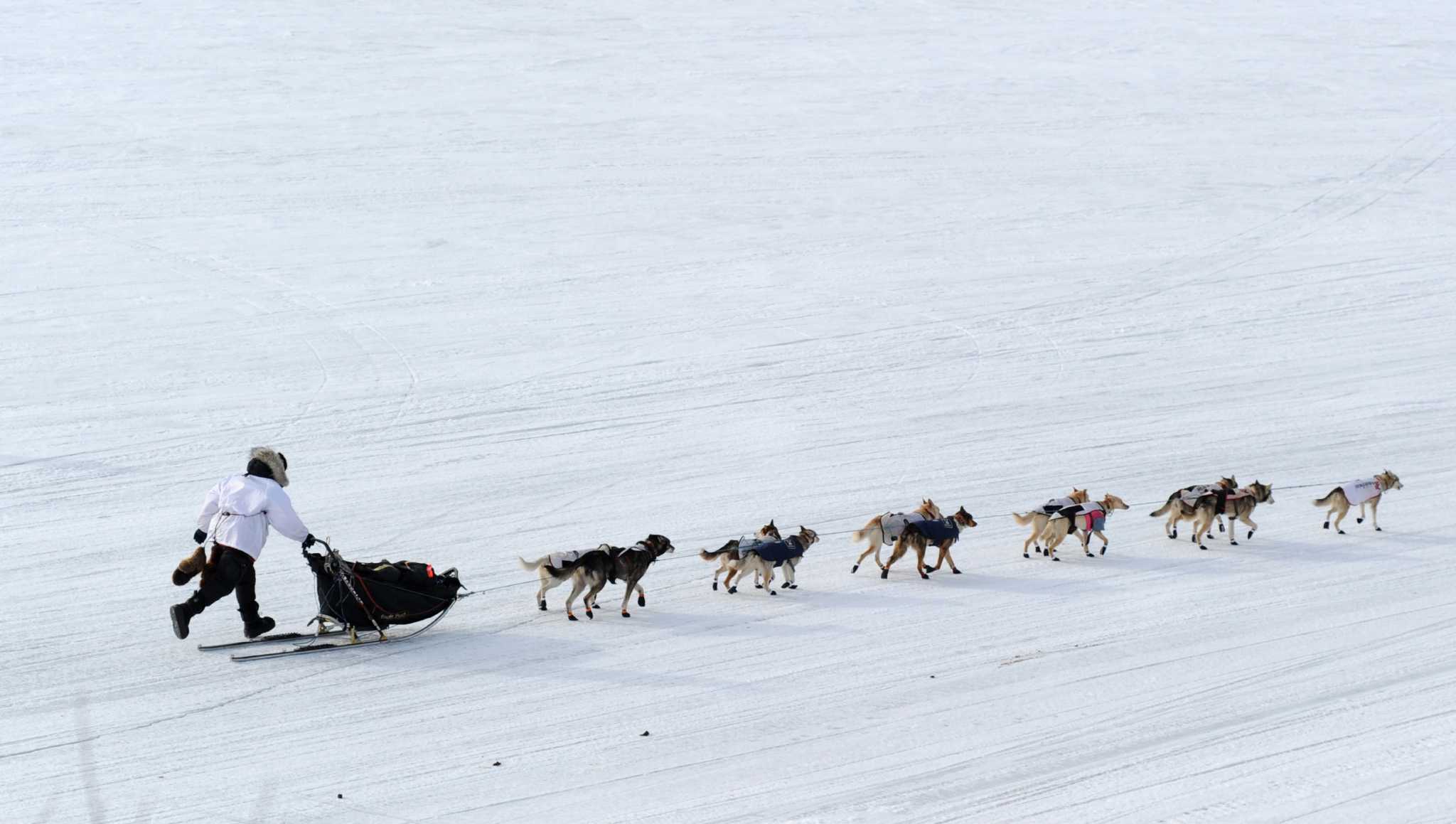 9 facts about the Iditarod