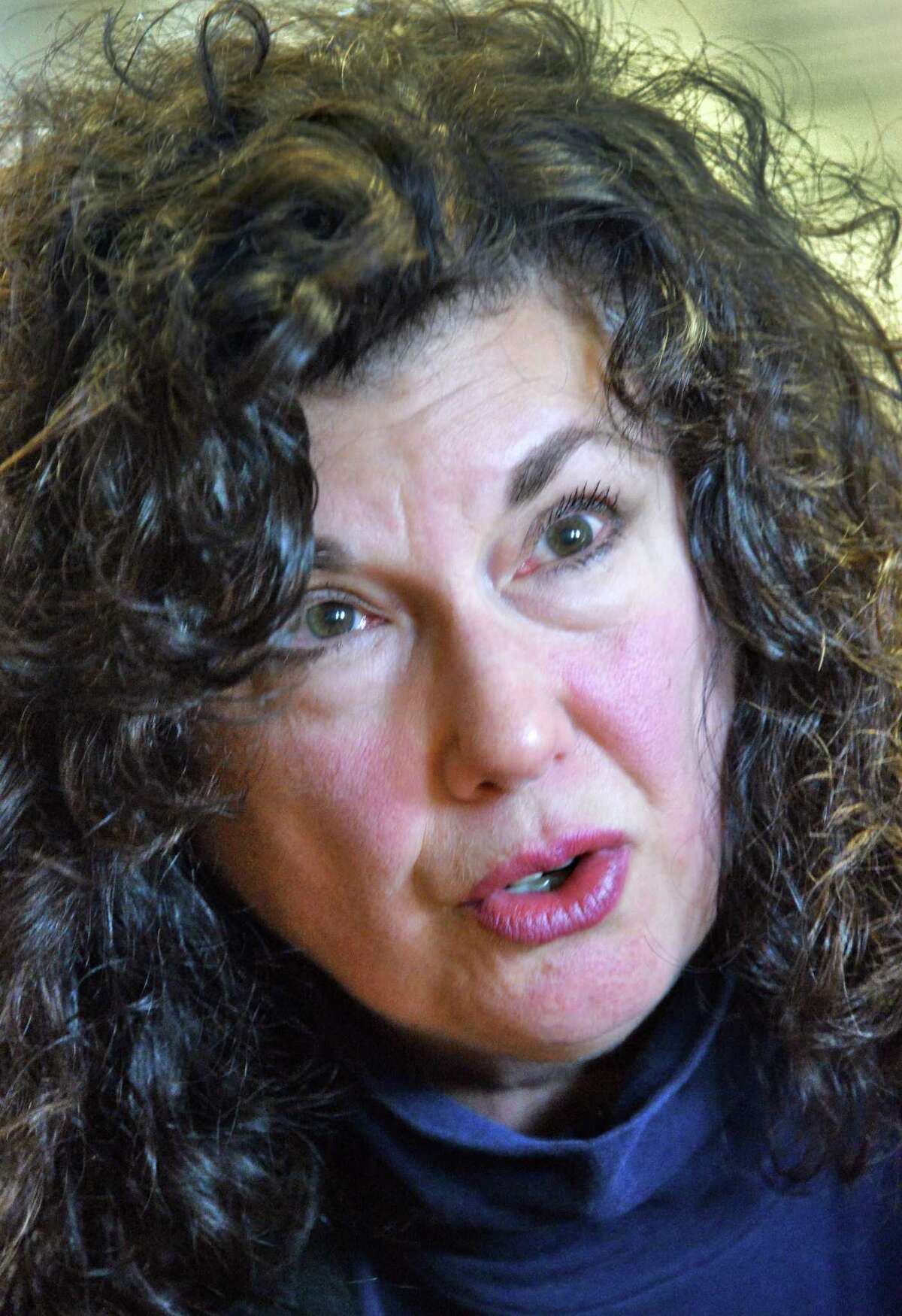 Reclaiming vanished Albany neighborhood