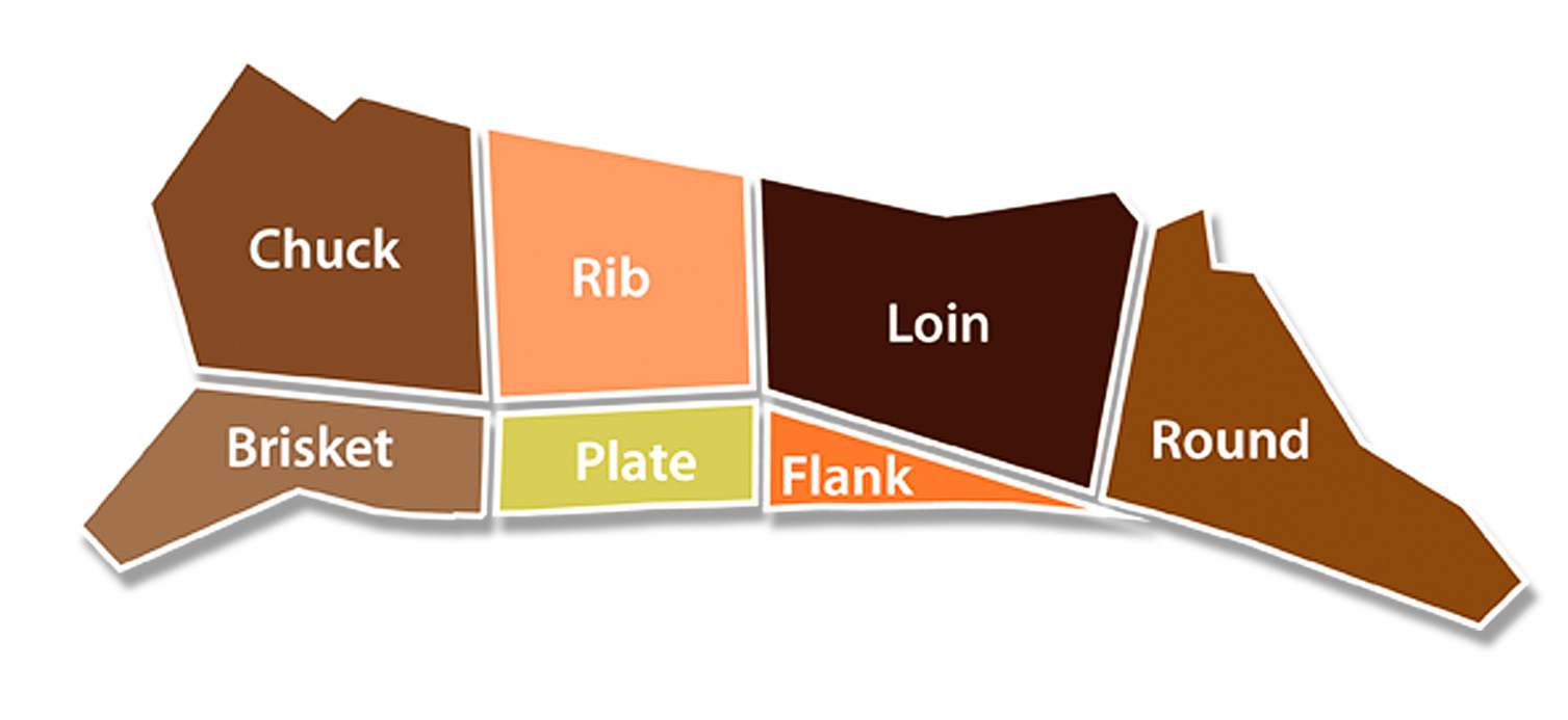 Learning basics of butchery