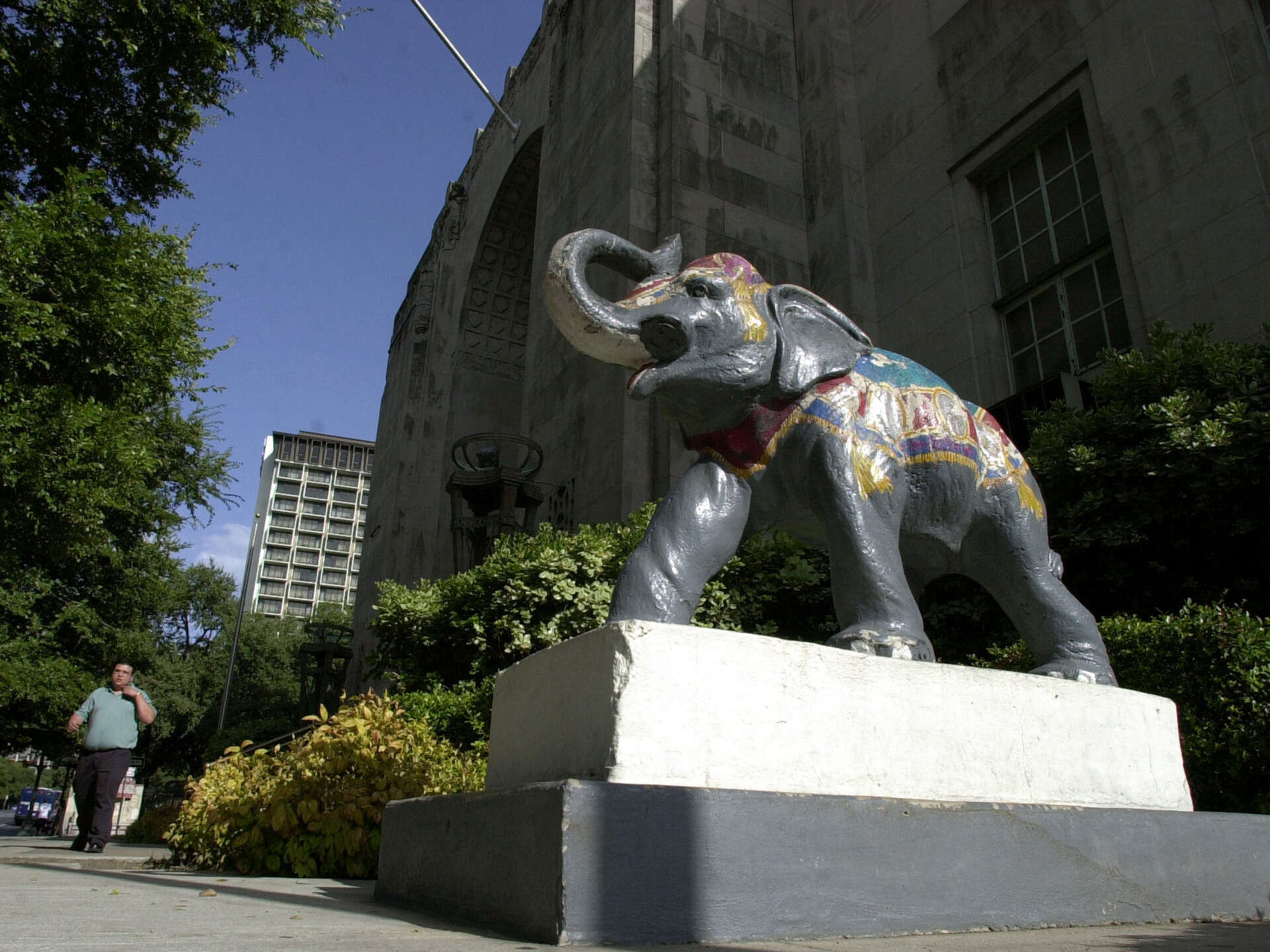 Hertzberg elephant at home at Witte