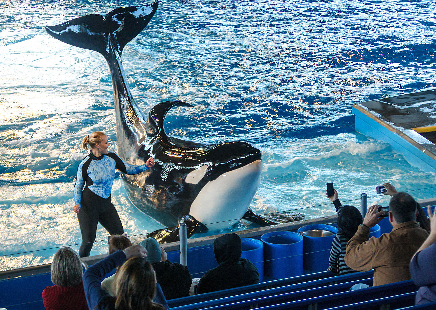 Police: SeaWorld burglars were undergoing frat initiation