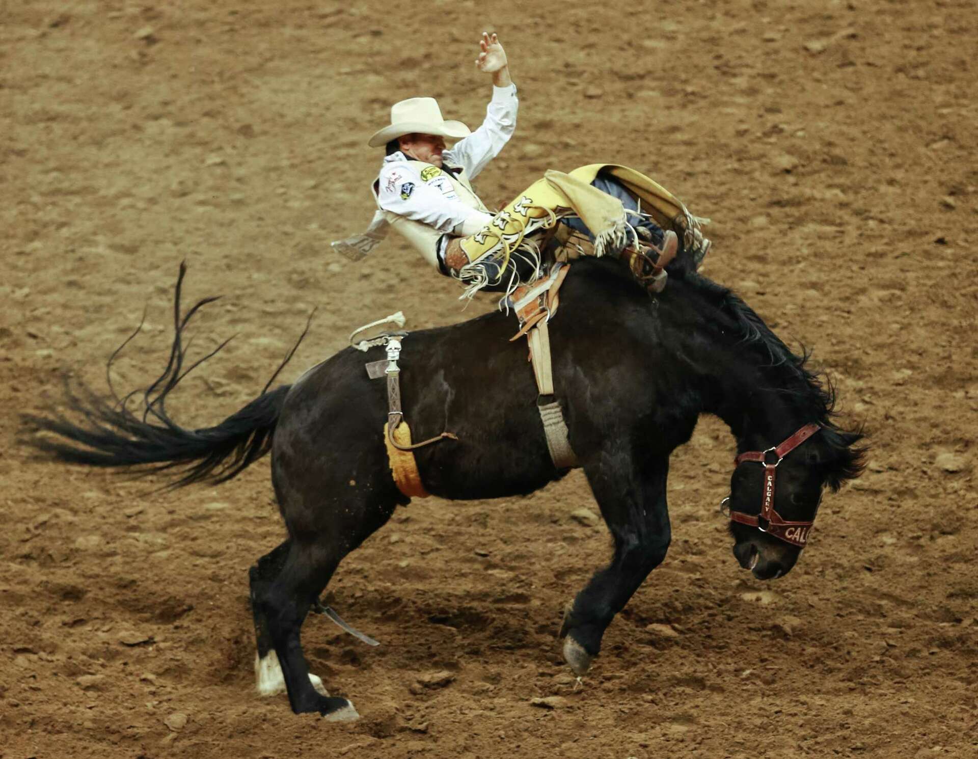 Bareback rider Bobby Mote bucks the perils and hangs on for glory
