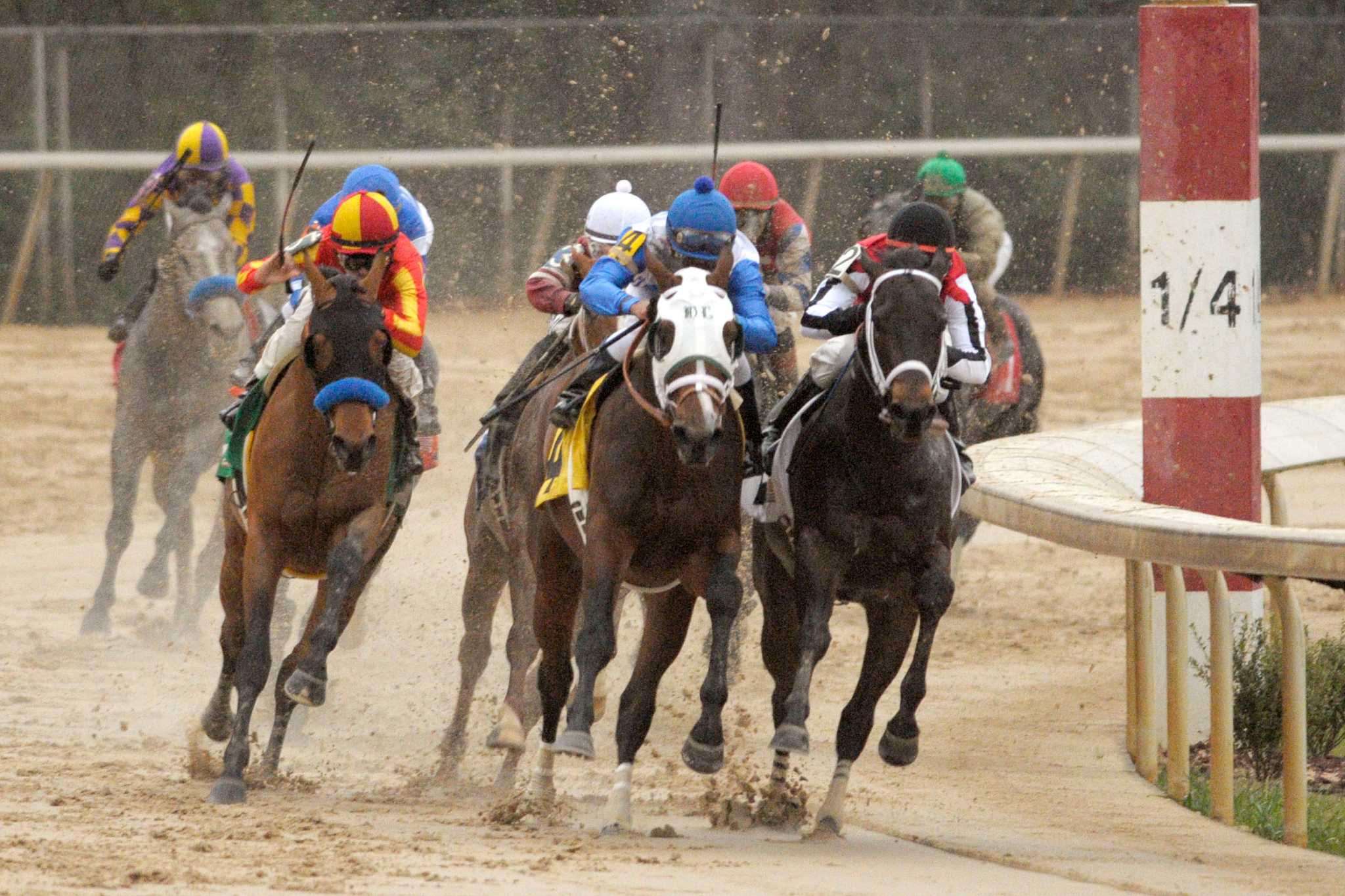 It's Hoppertunity in Rebel Stakes