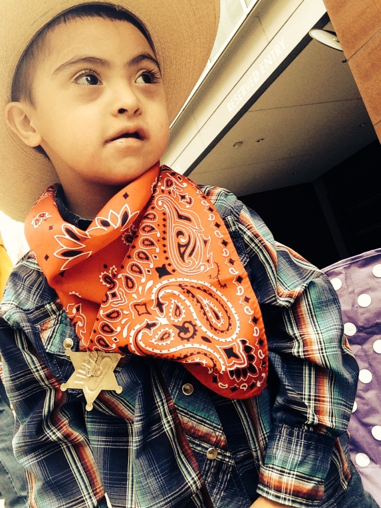 Top 20 in the Houston Rodeo Photo Contest