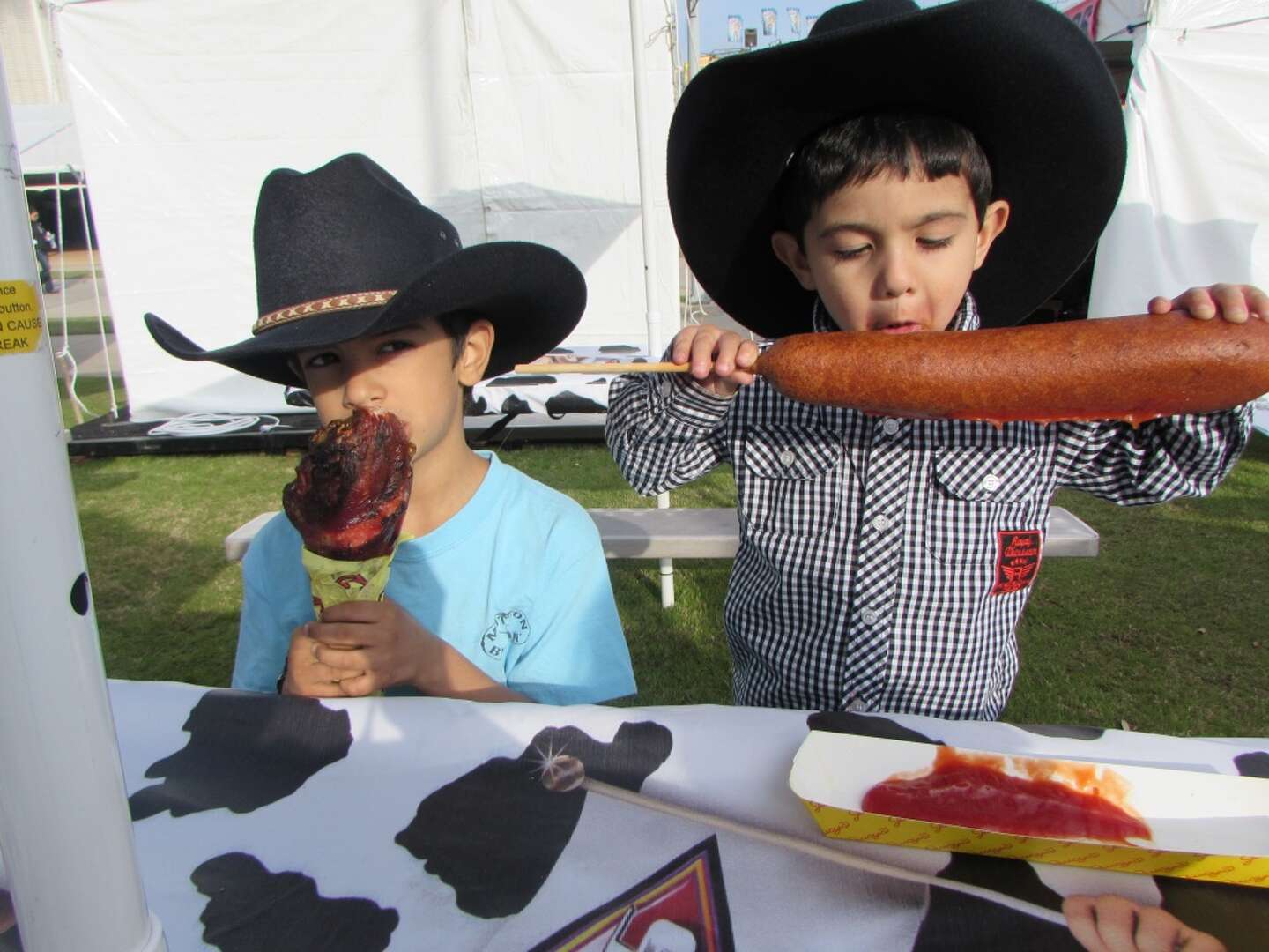 Houston Rodeo Photo Contest