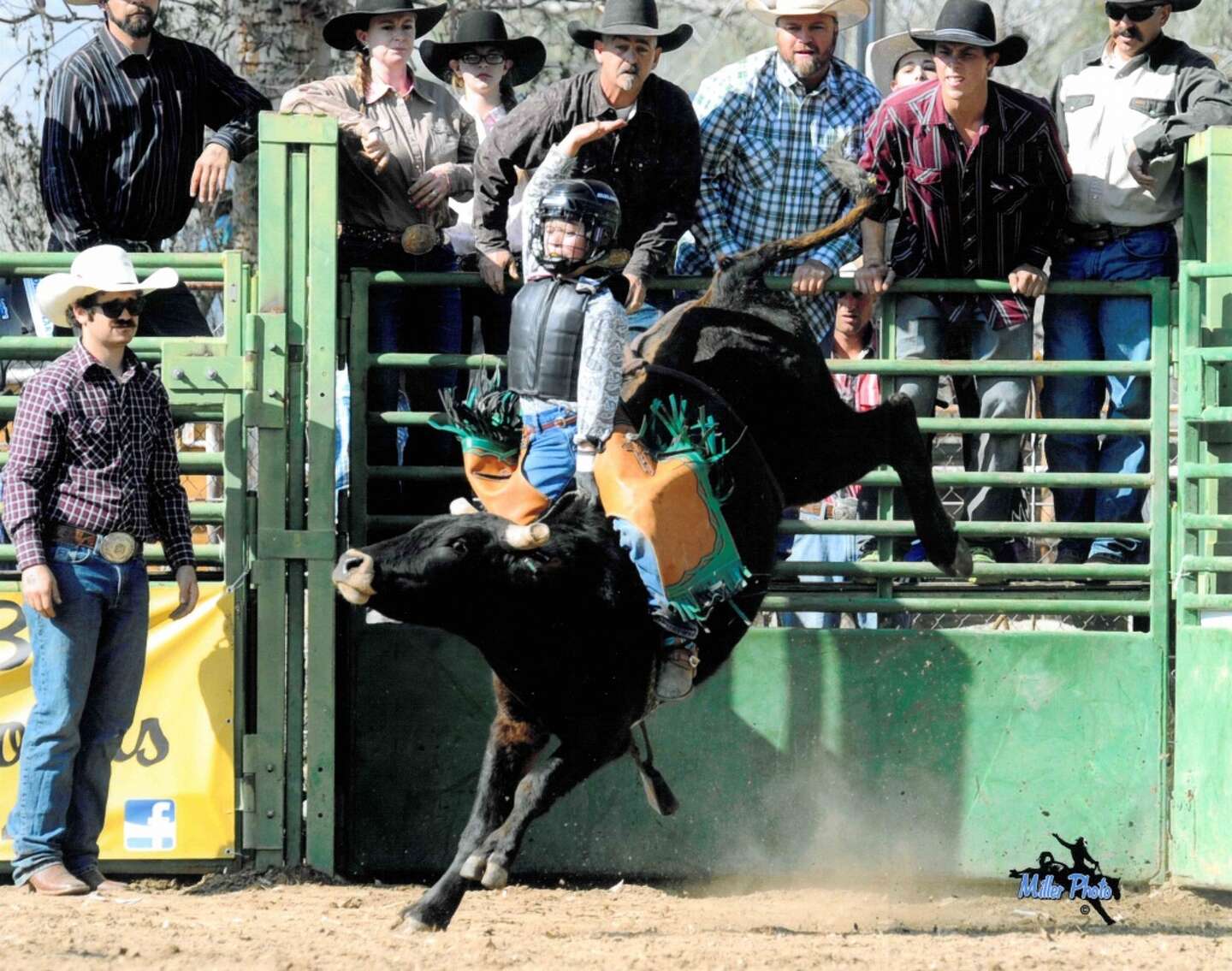 Houston Rodeo Photo Contest