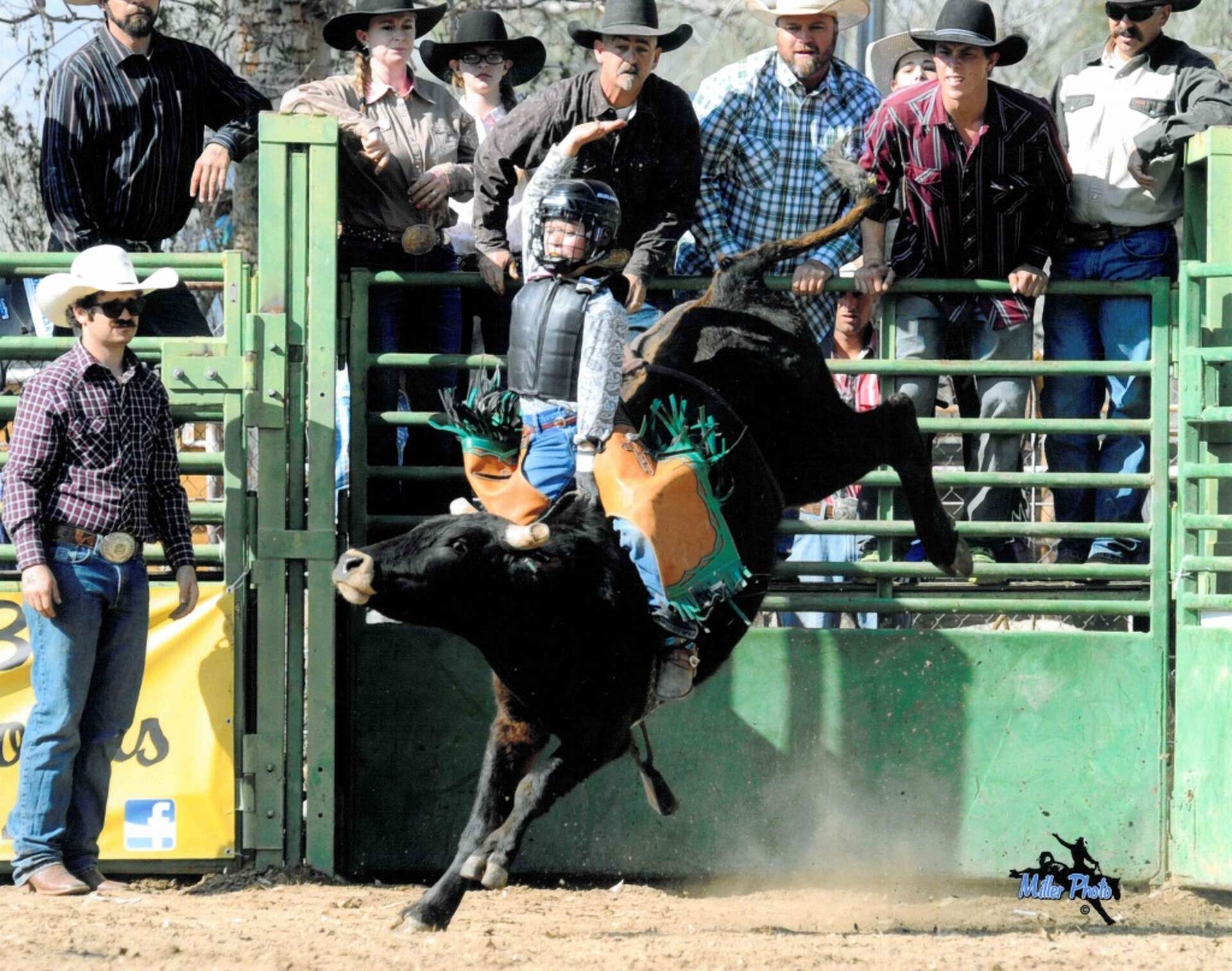 Houston Rodeo Photo Contest