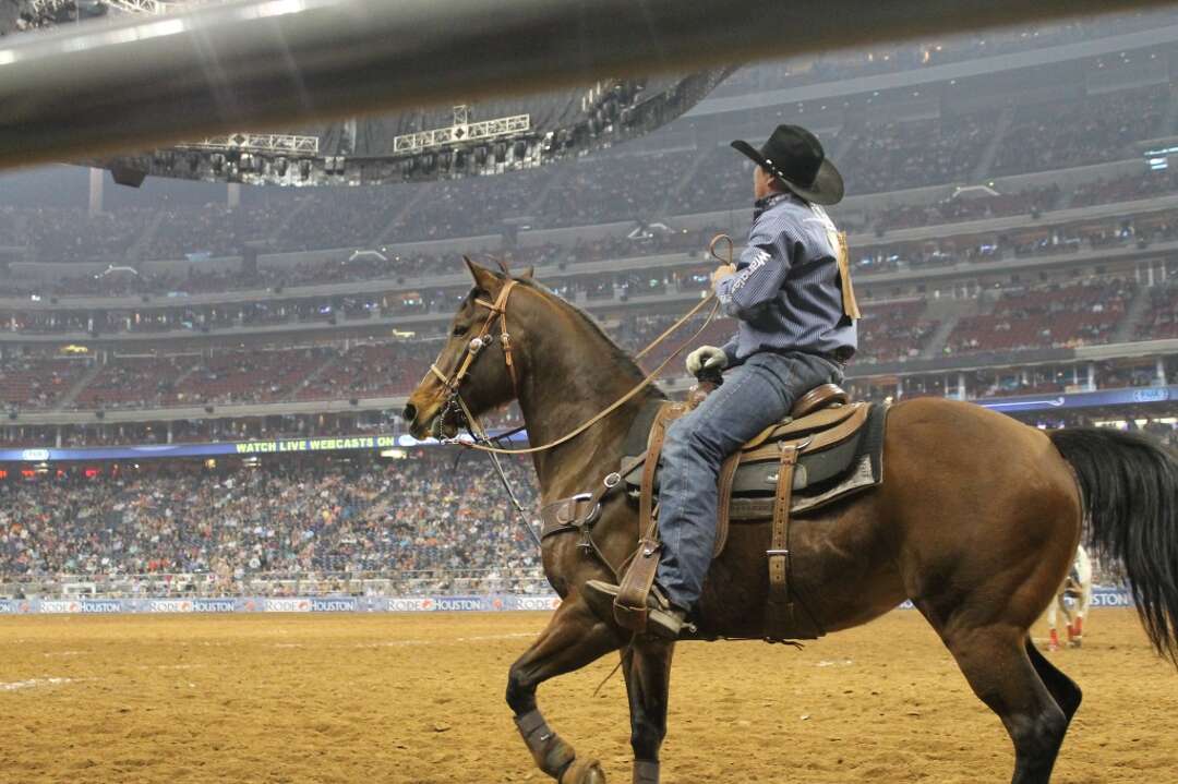 Houston Rodeo Photo Contest