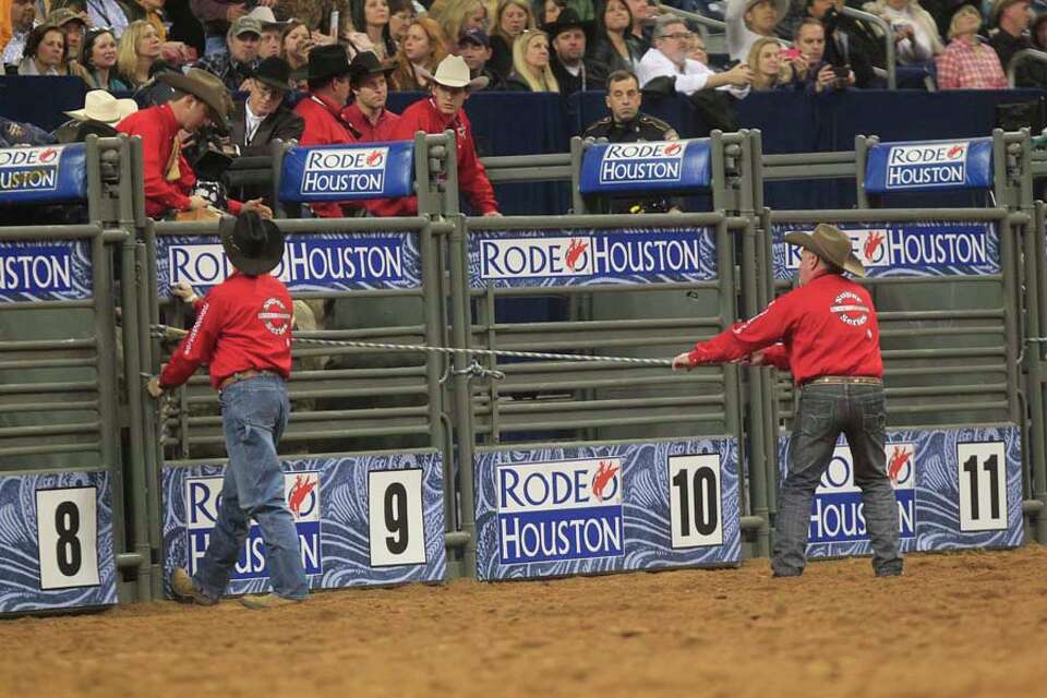 Bull riding at the rodeo gets closer look