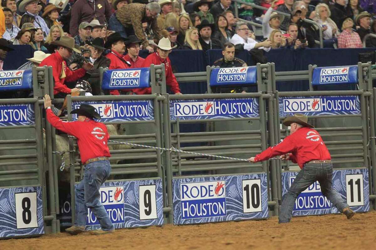 Bull riding at the rodeo gets closer look