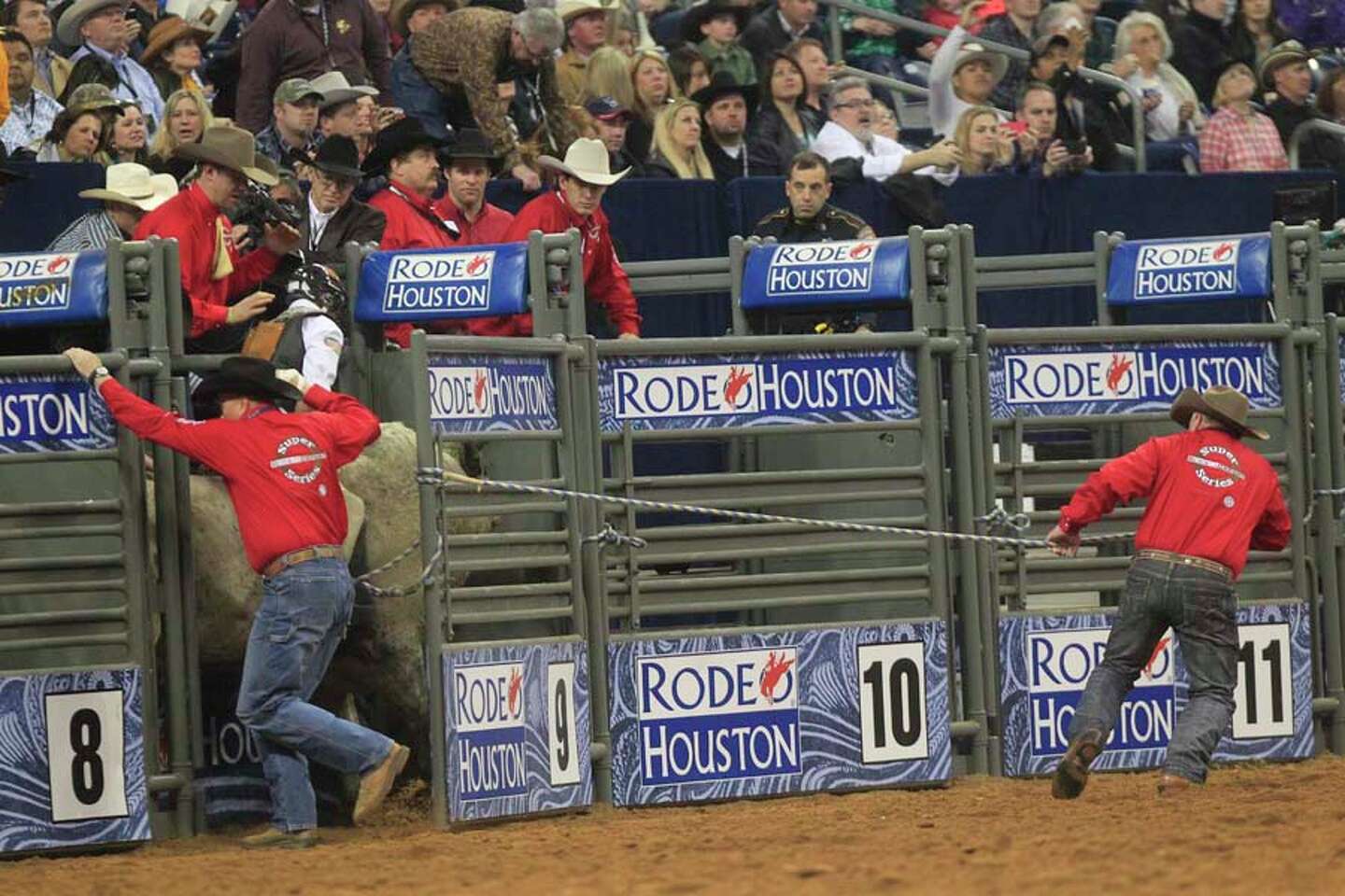 Bull riding at the rodeo gets closer look