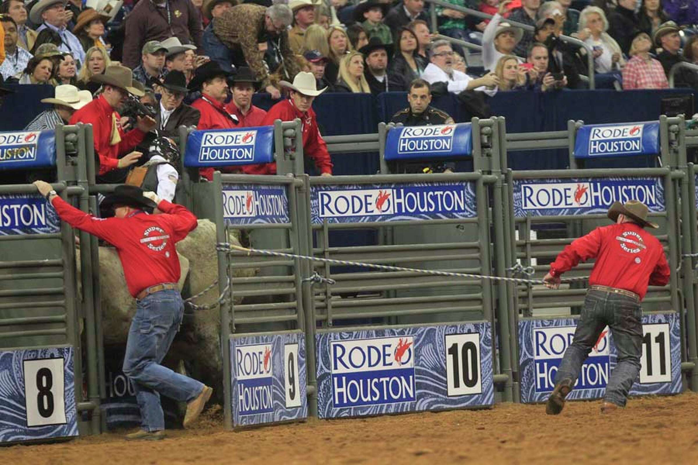 Bull riding at the rodeo gets closer look