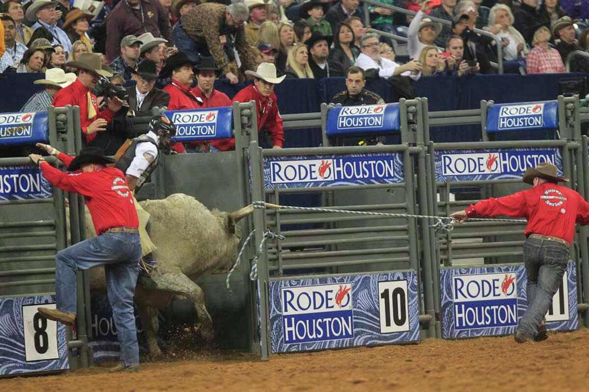 Bull riding at the rodeo gets closer look
