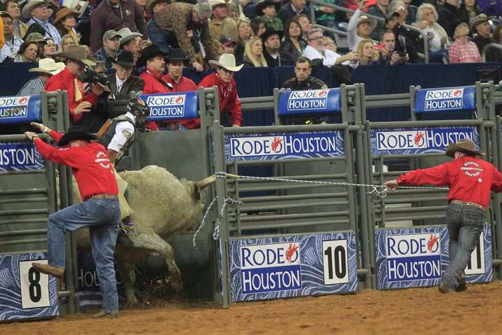 Bull riding at the rodeo gets closer look