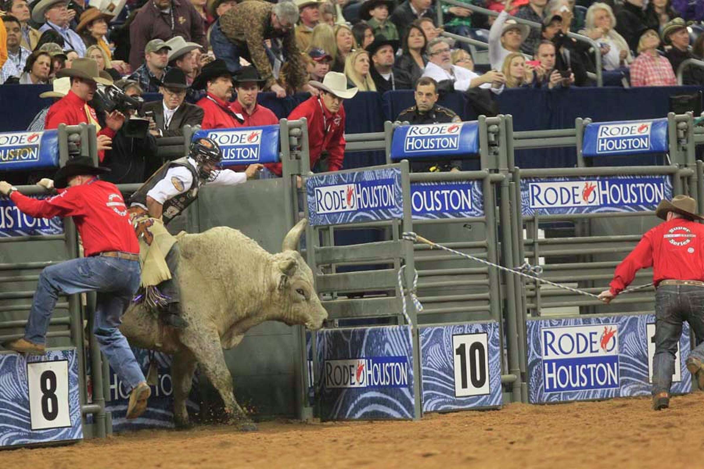 Bull riding at the rodeo gets closer look