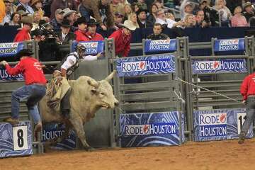 Bull riding at the rodeo gets closer look
