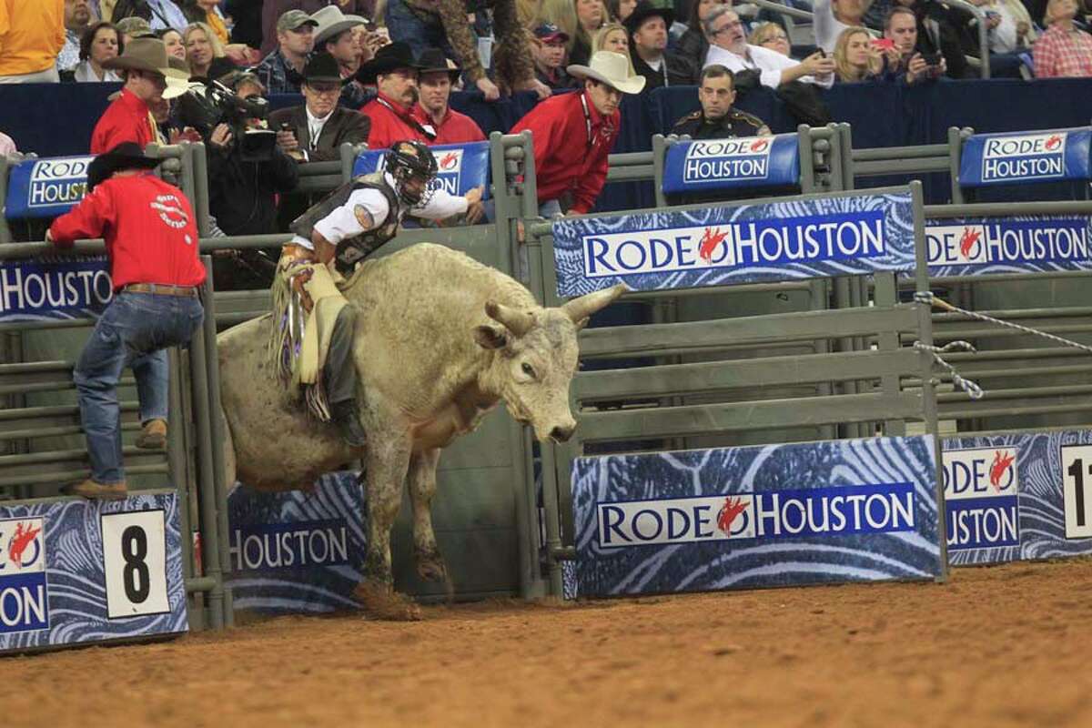 Bull riding at the rodeo gets closer look