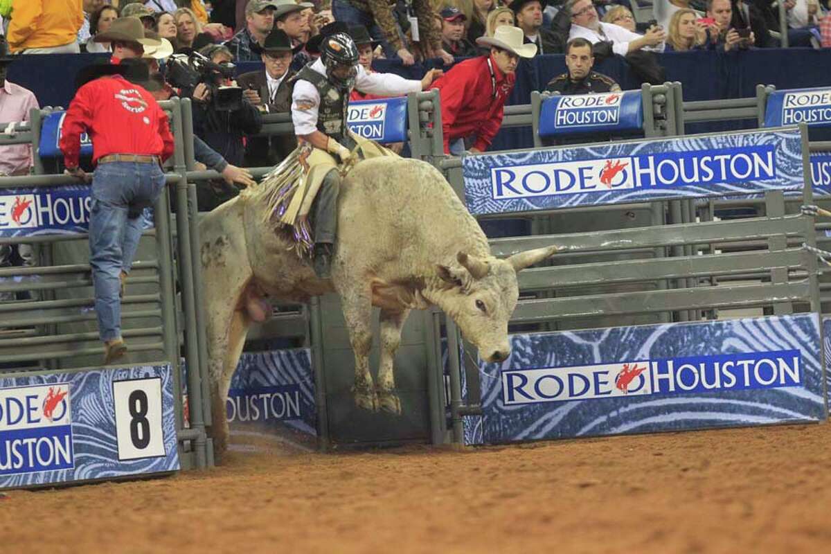 Bull riding at the rodeo gets closer look