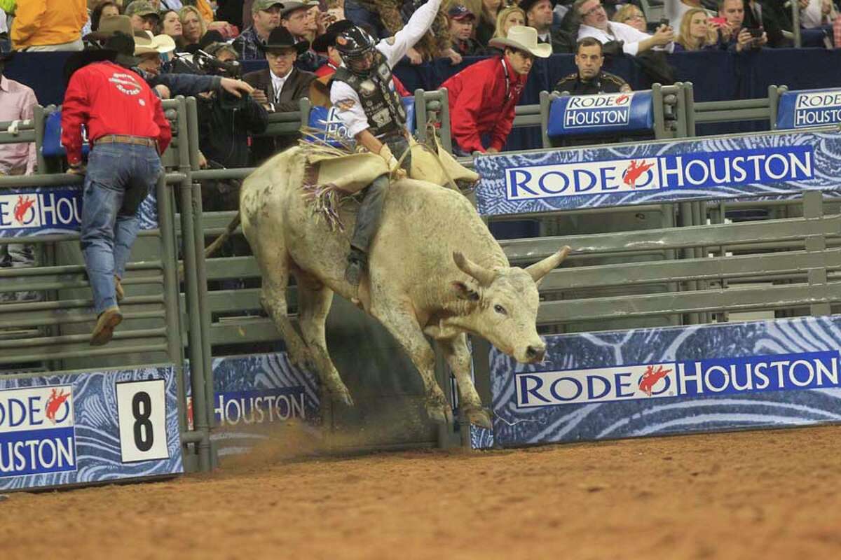 Bull riding at the rodeo gets closer look