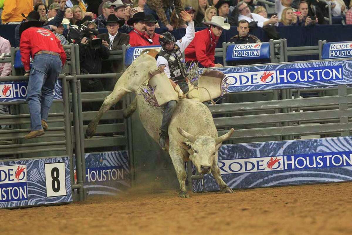 Bull riding at the rodeo gets closer look