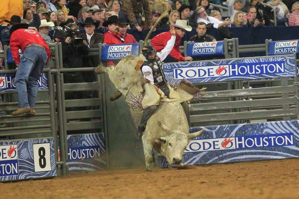 Bull riding at the rodeo gets closer look