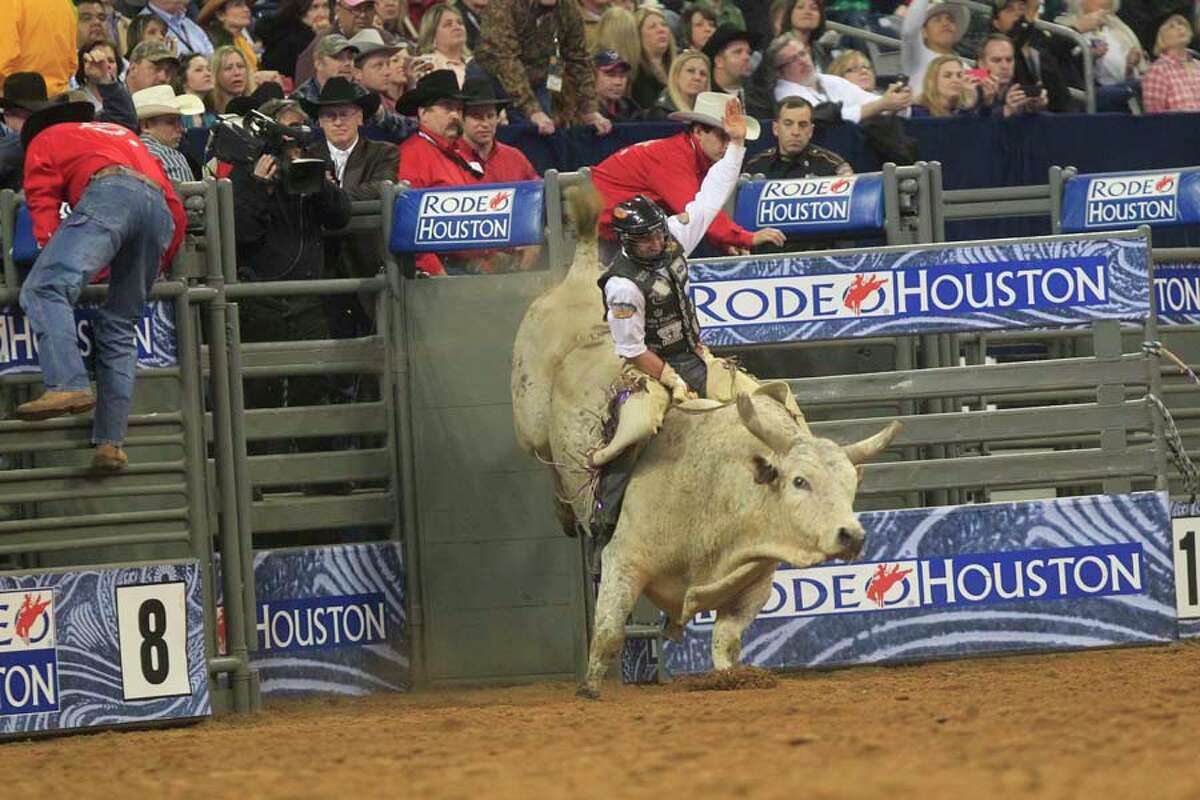 Bull riding at the rodeo gets closer look