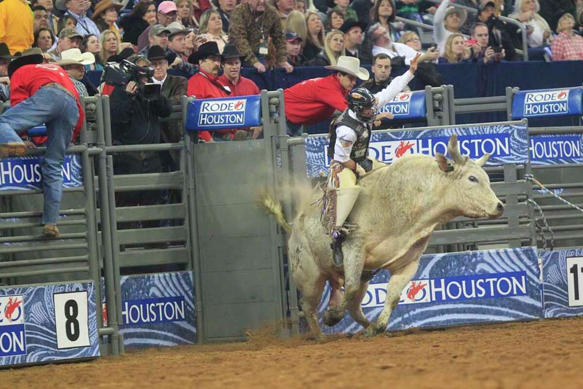 Bull riding at the rodeo gets closer look