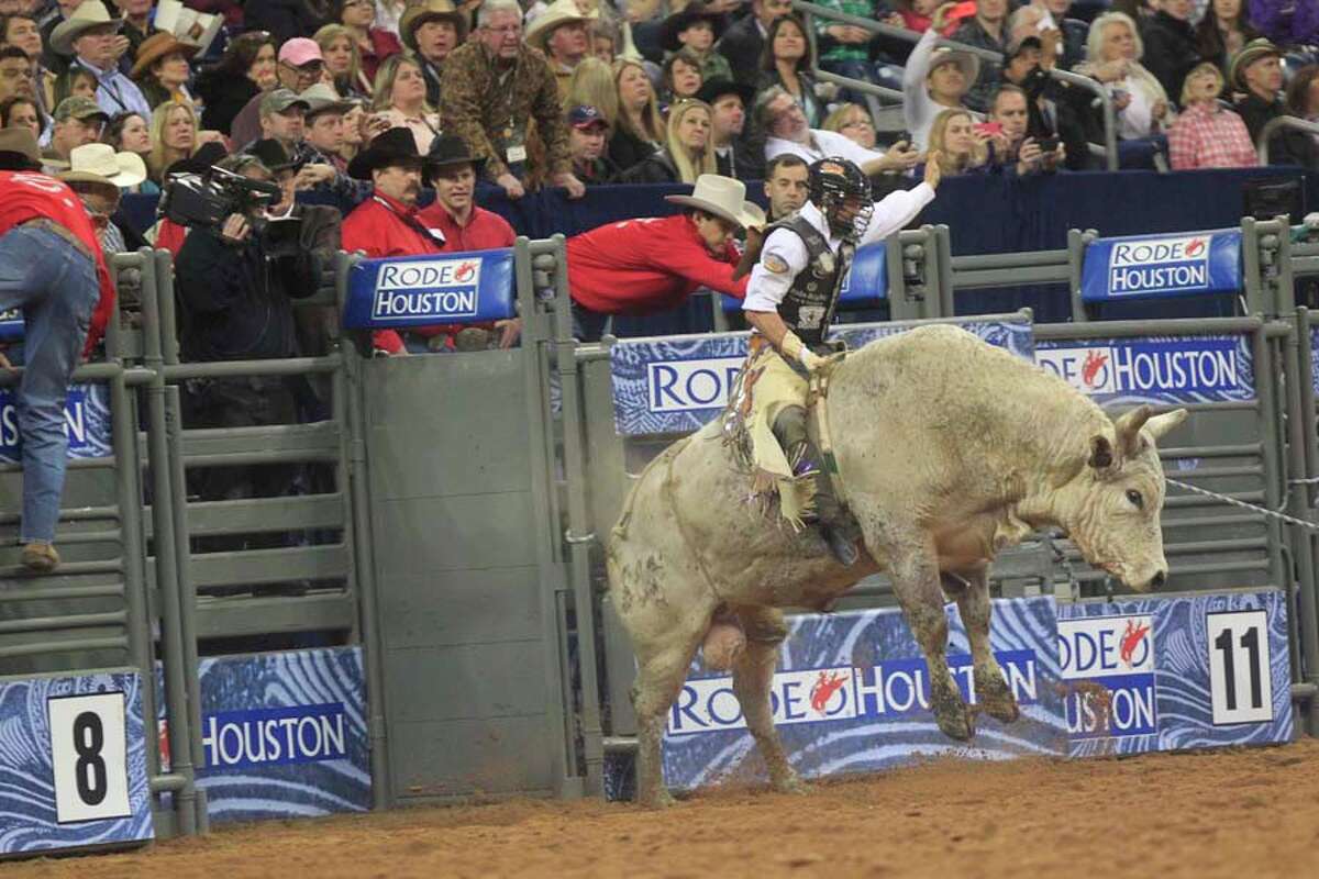 Bull riding at the rodeo gets closer look