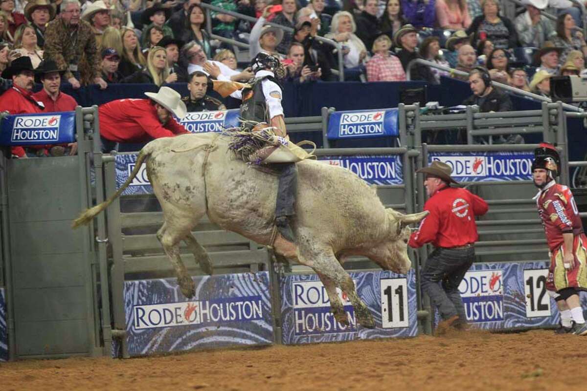 Bull riding at the rodeo gets closer look