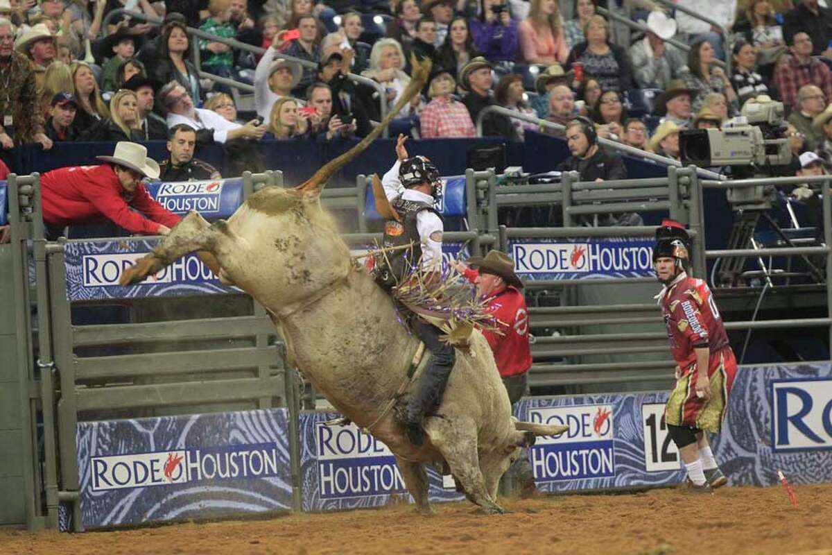 Bull riding at the rodeo gets closer look
