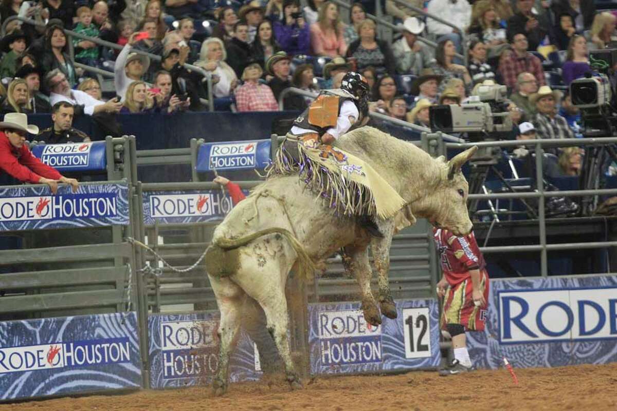 Bull riding at the rodeo gets closer look