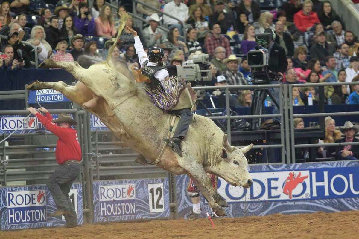 Bull riding at the rodeo gets closer look