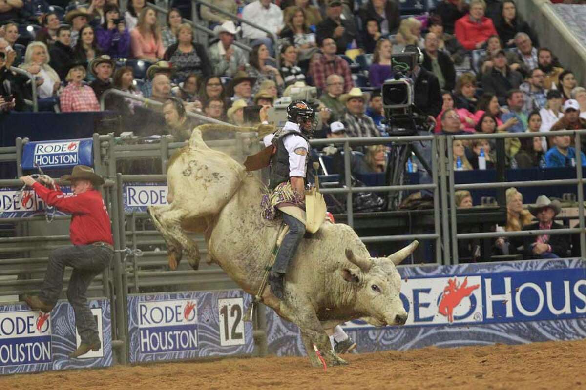 Bull riding at the rodeo gets closer look