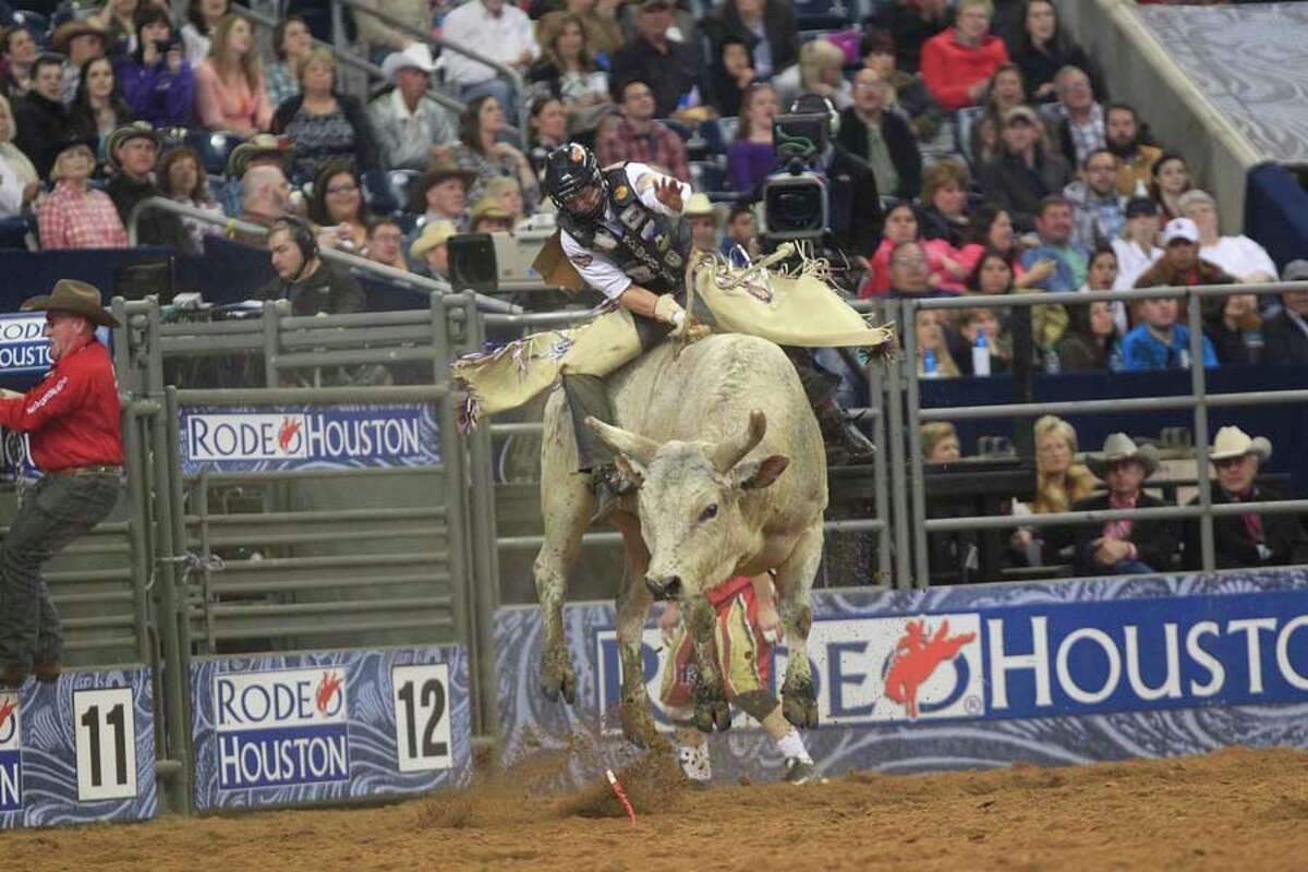 Bull riding at the rodeo gets closer look