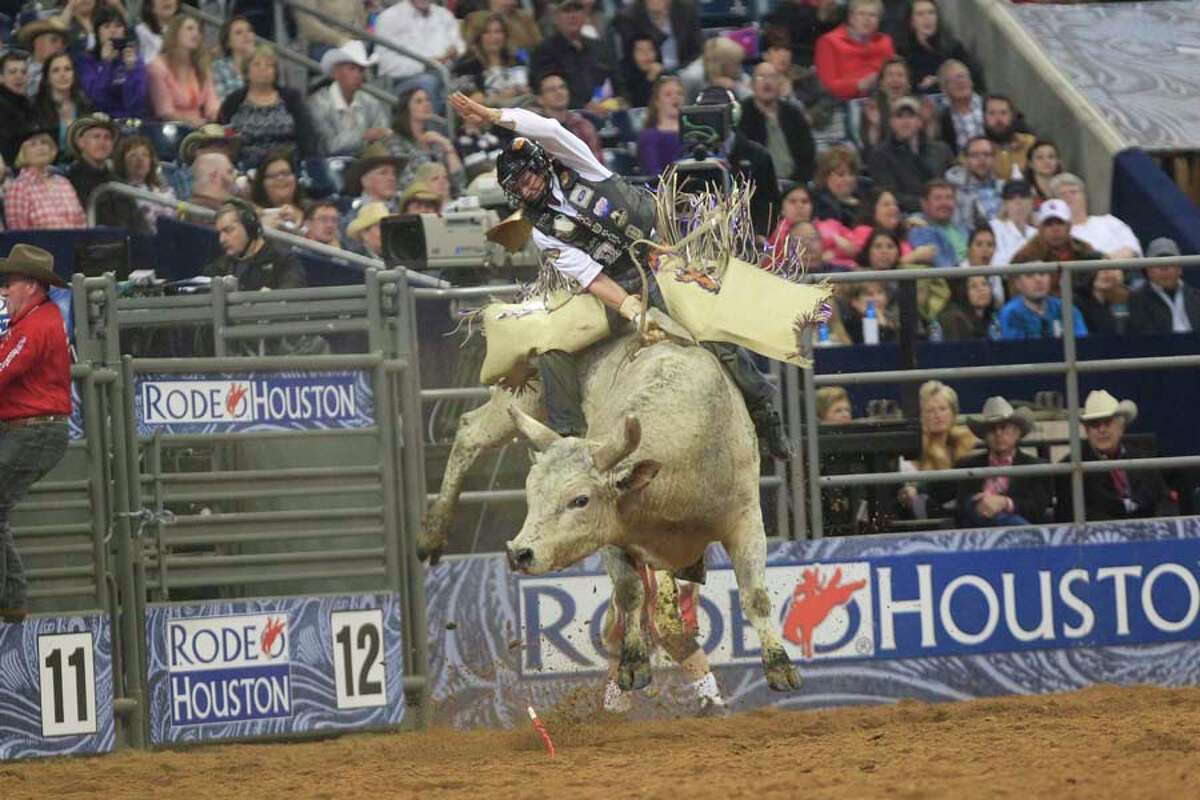 Bull riding at the rodeo gets closer look