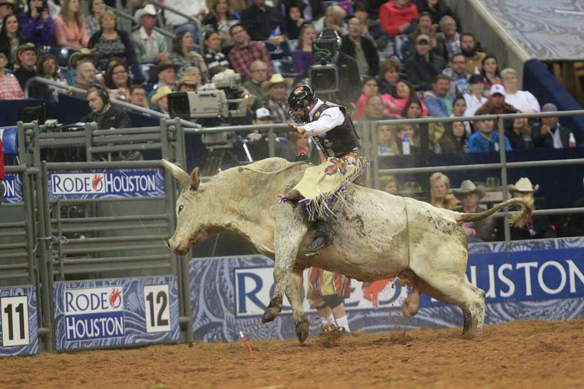 Bull riding at the rodeo gets closer look
