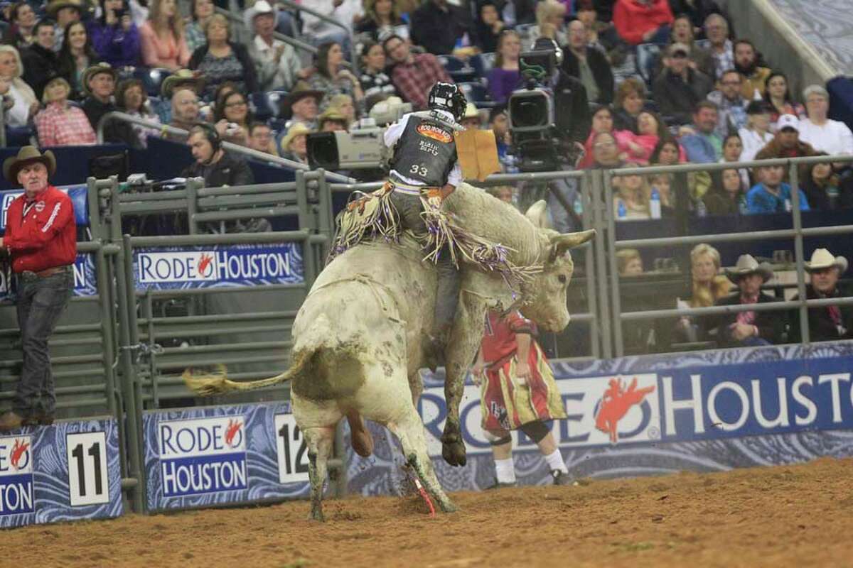 Bull riding at the rodeo gets closer look