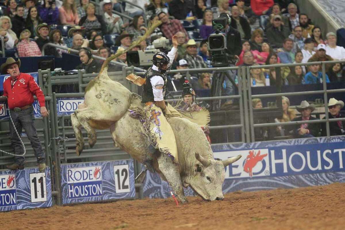 Bull riding at the rodeo gets closer look