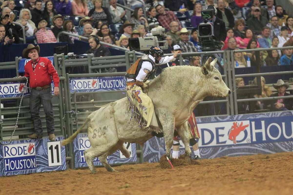 Bull riding at the rodeo gets closer look