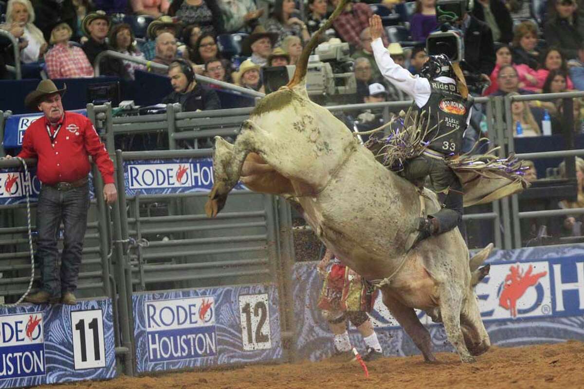 Bull riding at the rodeo gets closer look