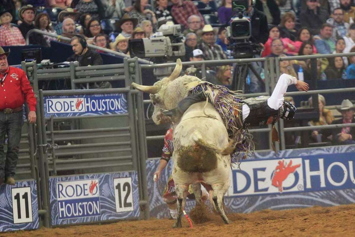 Bull riding at the rodeo gets closer look