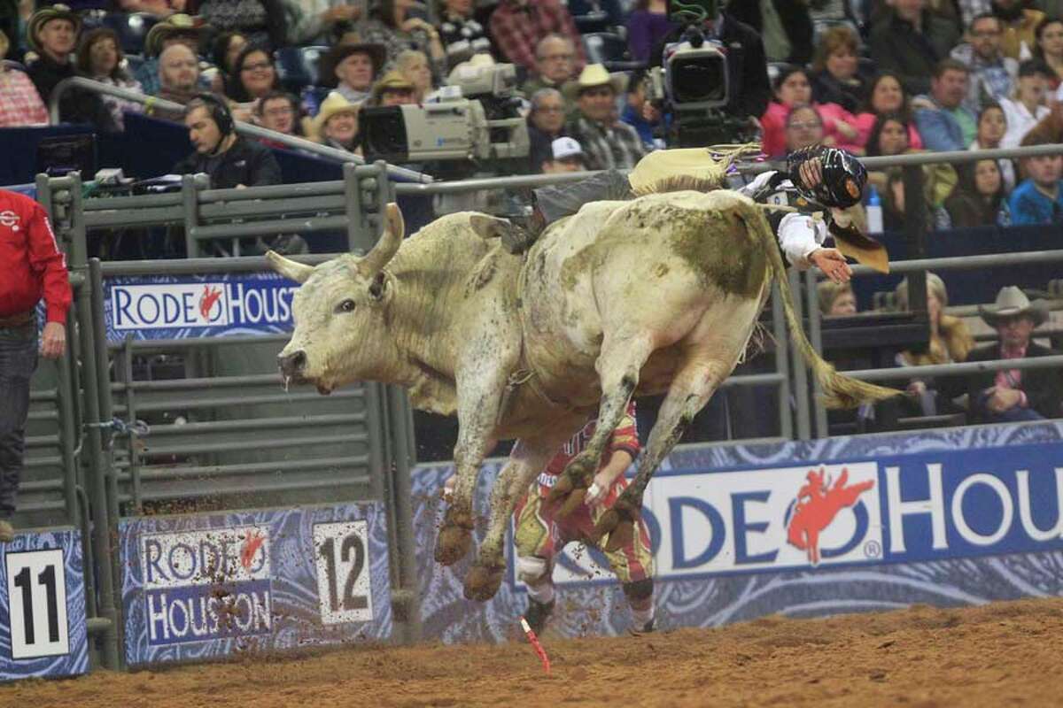 Bull riding at the rodeo gets closer look