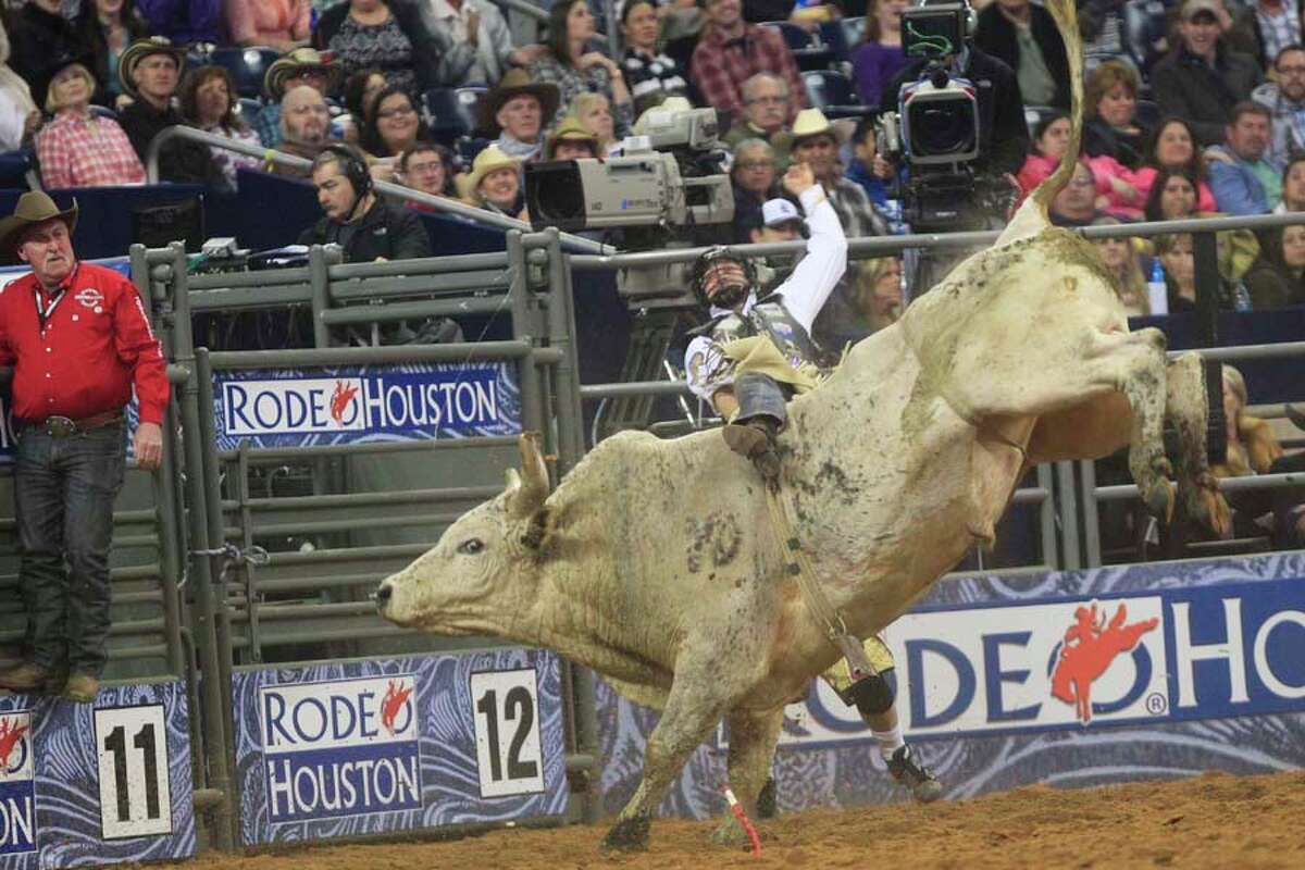 Bull riding at the rodeo gets closer look