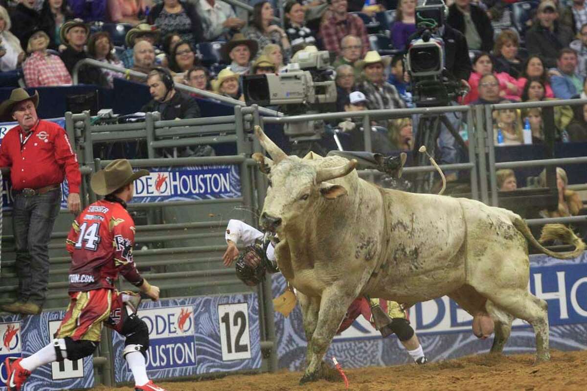 Bull riding at the rodeo gets closer look