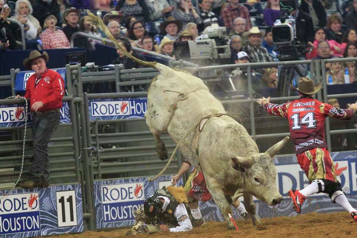 Bull riding at the rodeo gets closer look