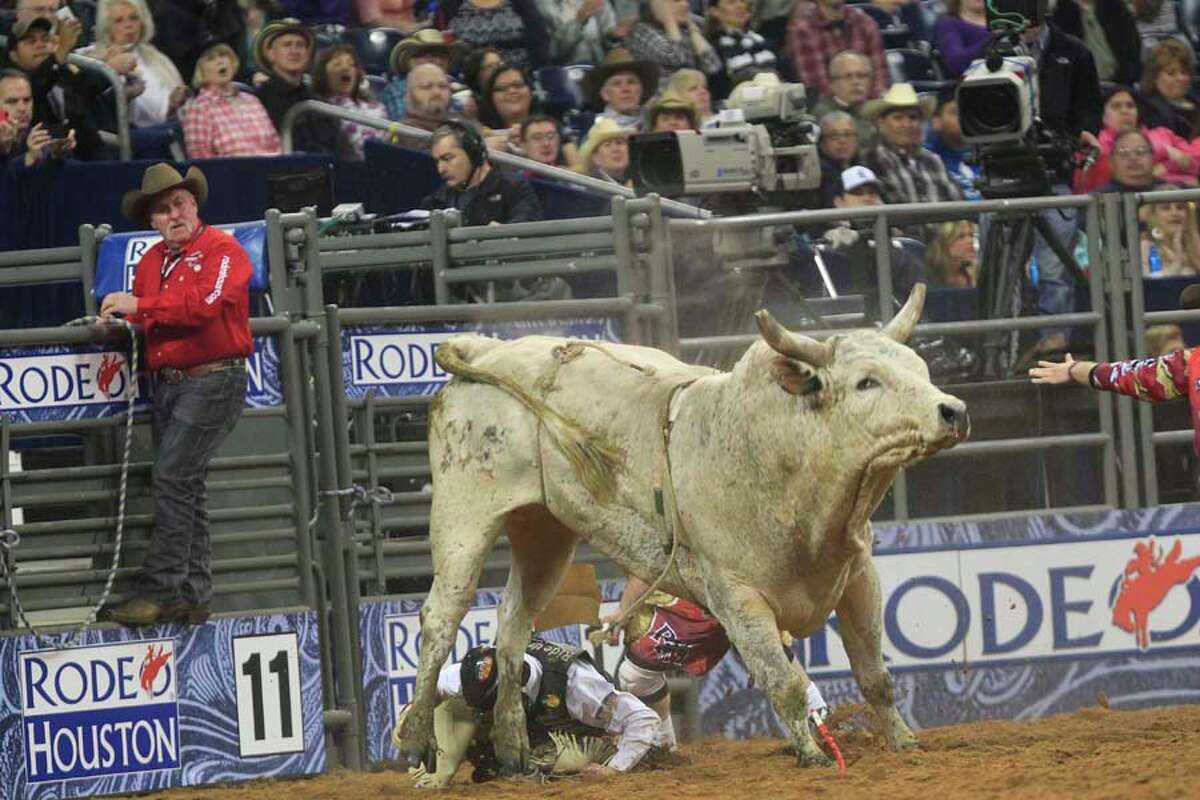 Bull riding at the rodeo gets closer look