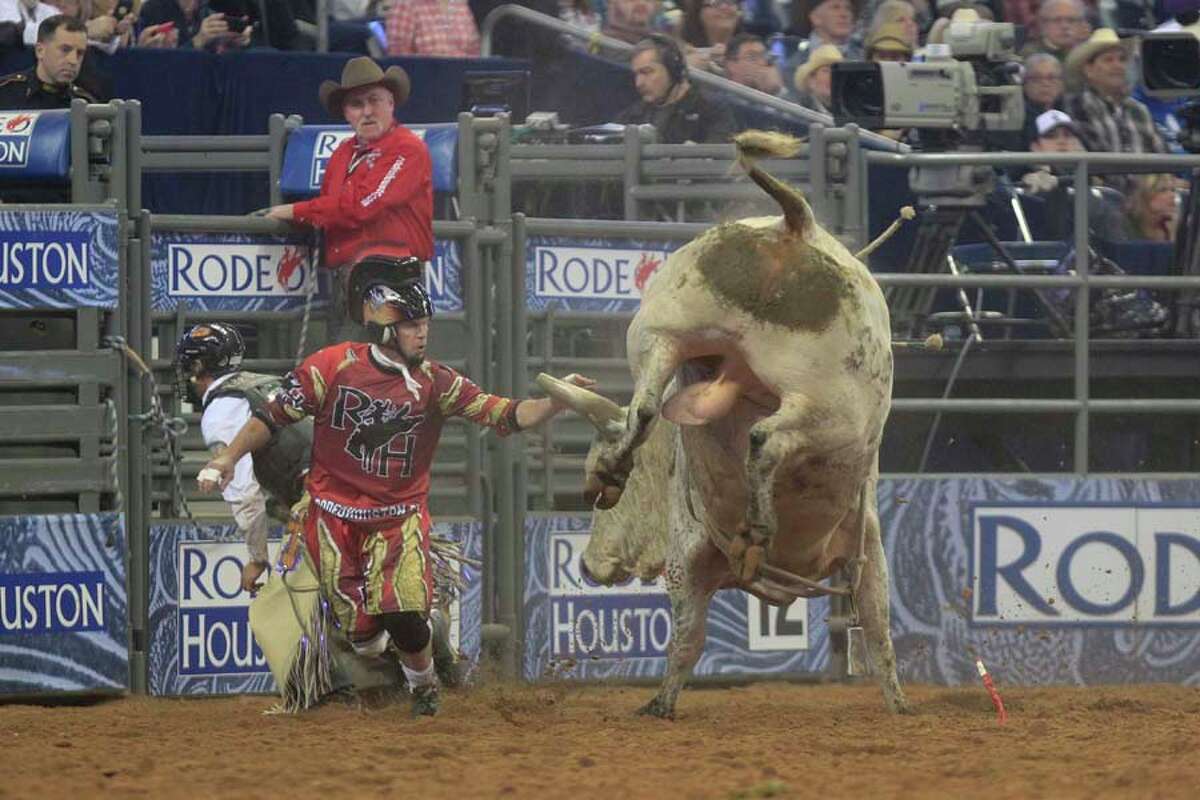 Bull riding at the rodeo gets closer look